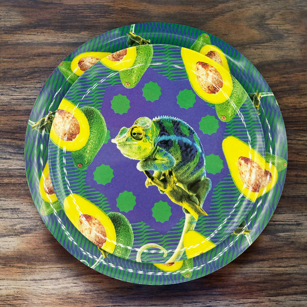 Avo Chameleon Small Adventure Plate – Kangarui
